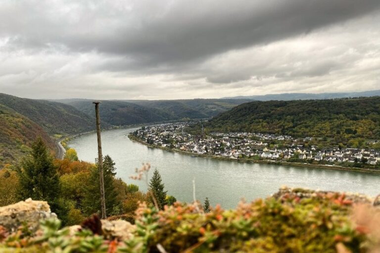 Rheinsteig - 320 Kilometer Fernwanderweg am Rhein - www.trail-pfoten.de